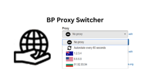 BP Proxy Switcher Chrome Extension: A Complete Guide - MoneyPhobia
